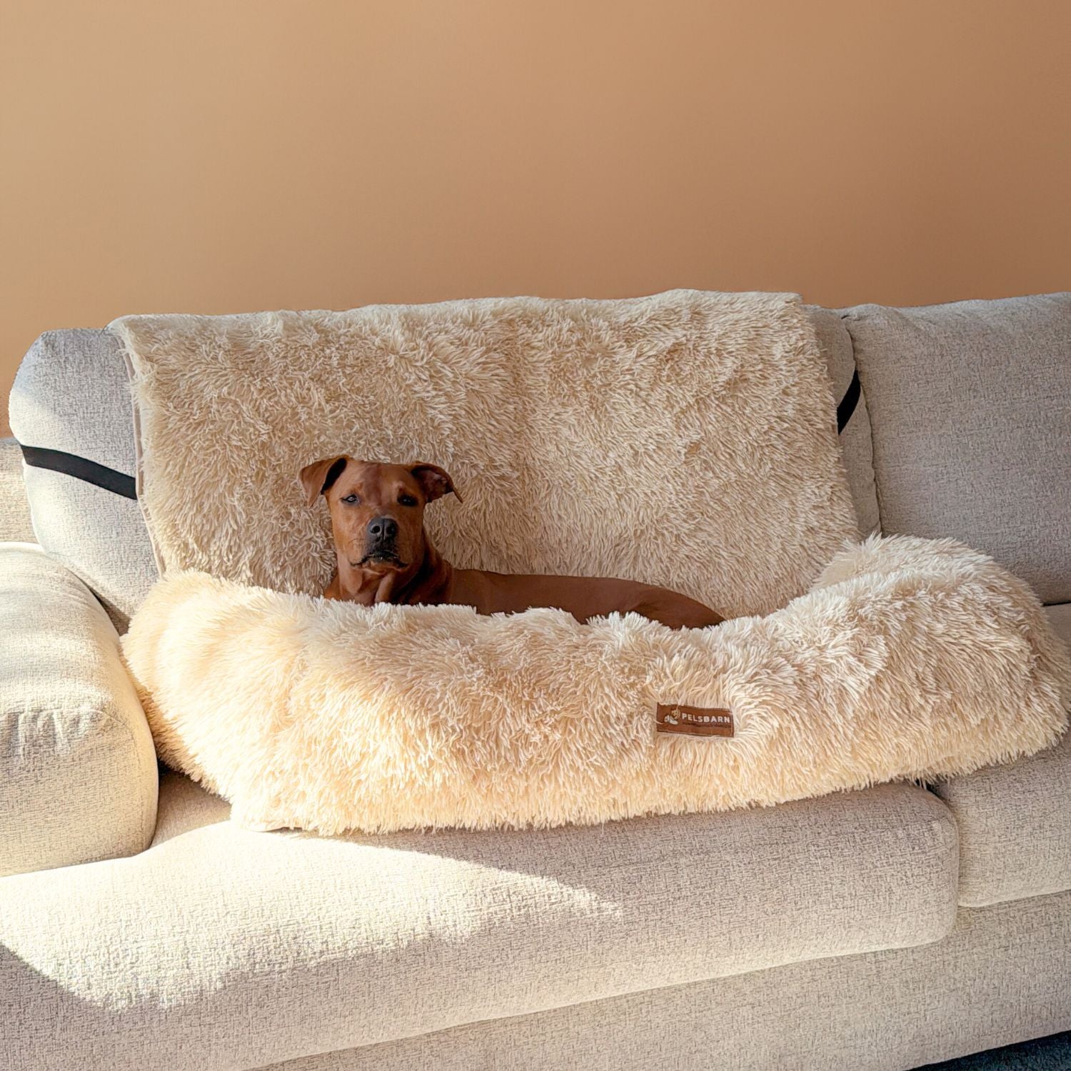 Shop – Pelsbarn.org