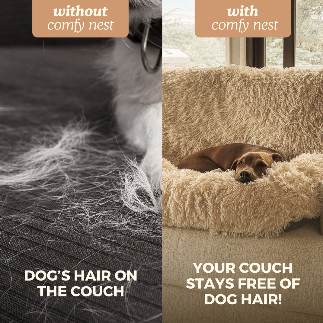 The Comfy Nest: Your Dog’s New Best Friend – Pelsbarn.org